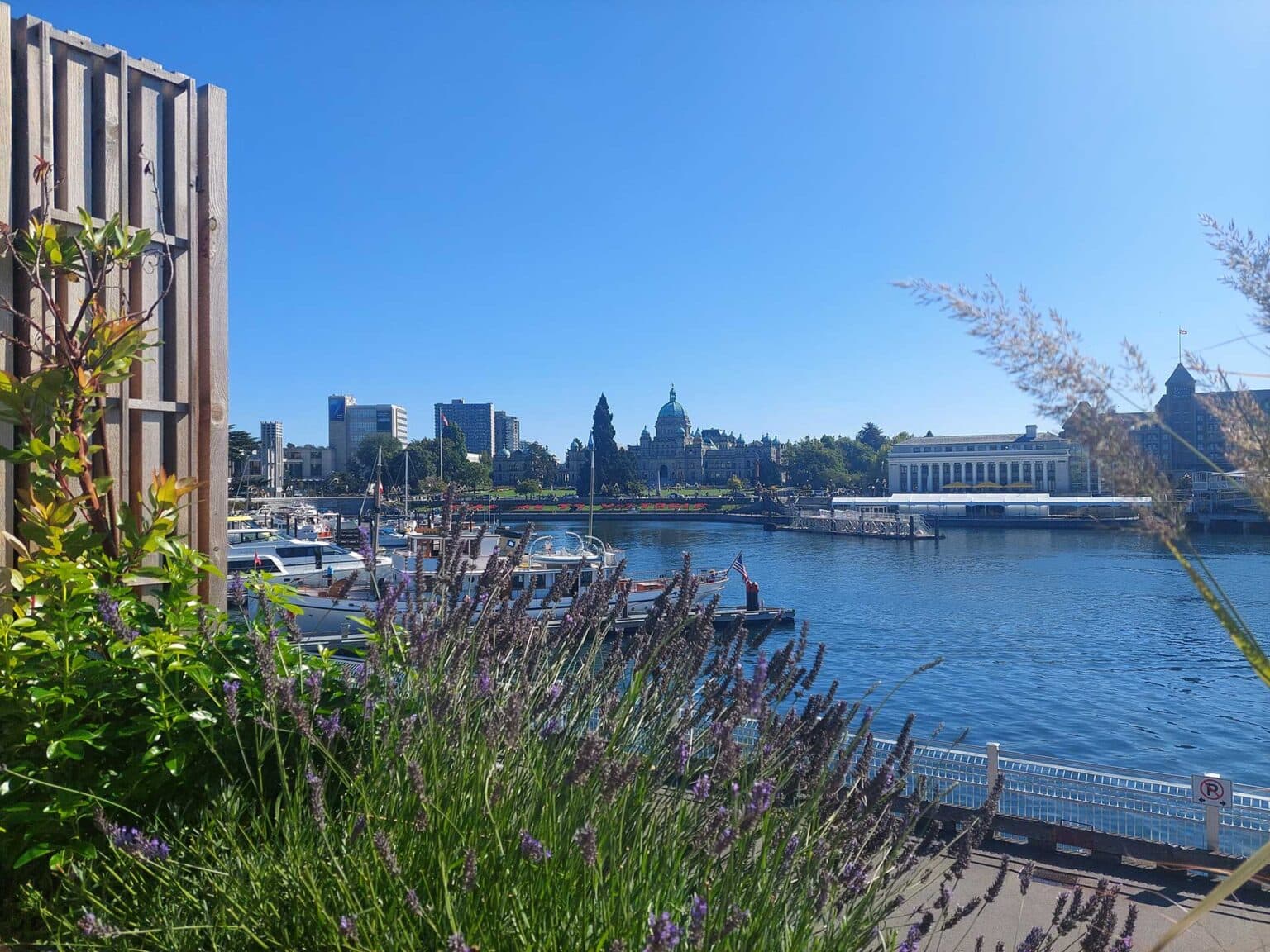 A Havn in Victoria Harbour - Home Saunas